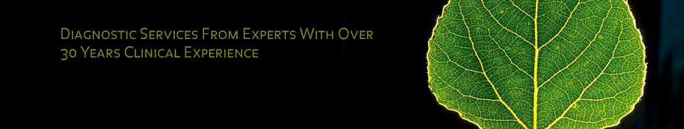 Collaborative Imaging Specialists